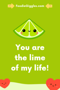 100 Best Lime Puns That Are Zesty And Refreshing