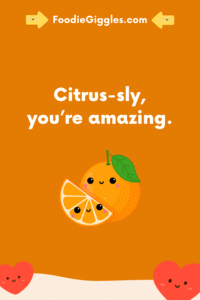 111+ Orange Puns To Squeeze A Little Laughter Into Your Day